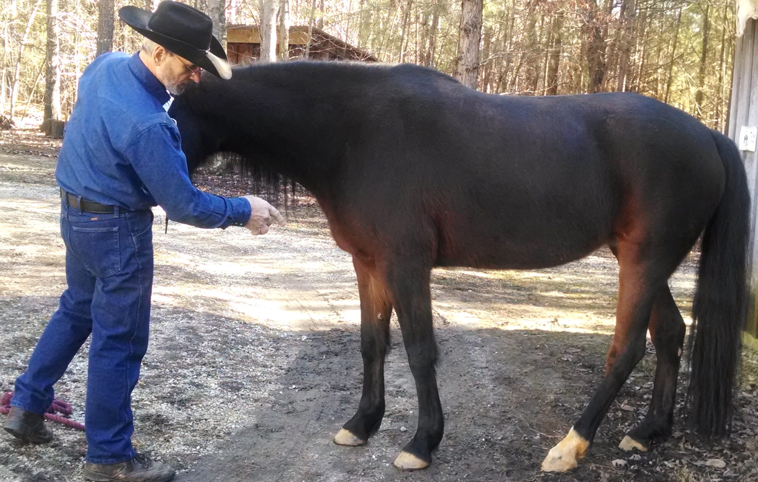 Little Exercise Known As The “One-Step.” - Dutch Henry, Author