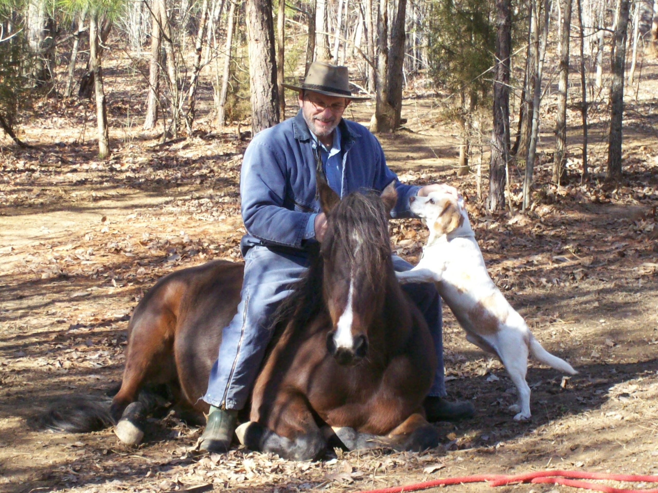EARNING YOUR HORSE’S TRUST, Dutch Henry