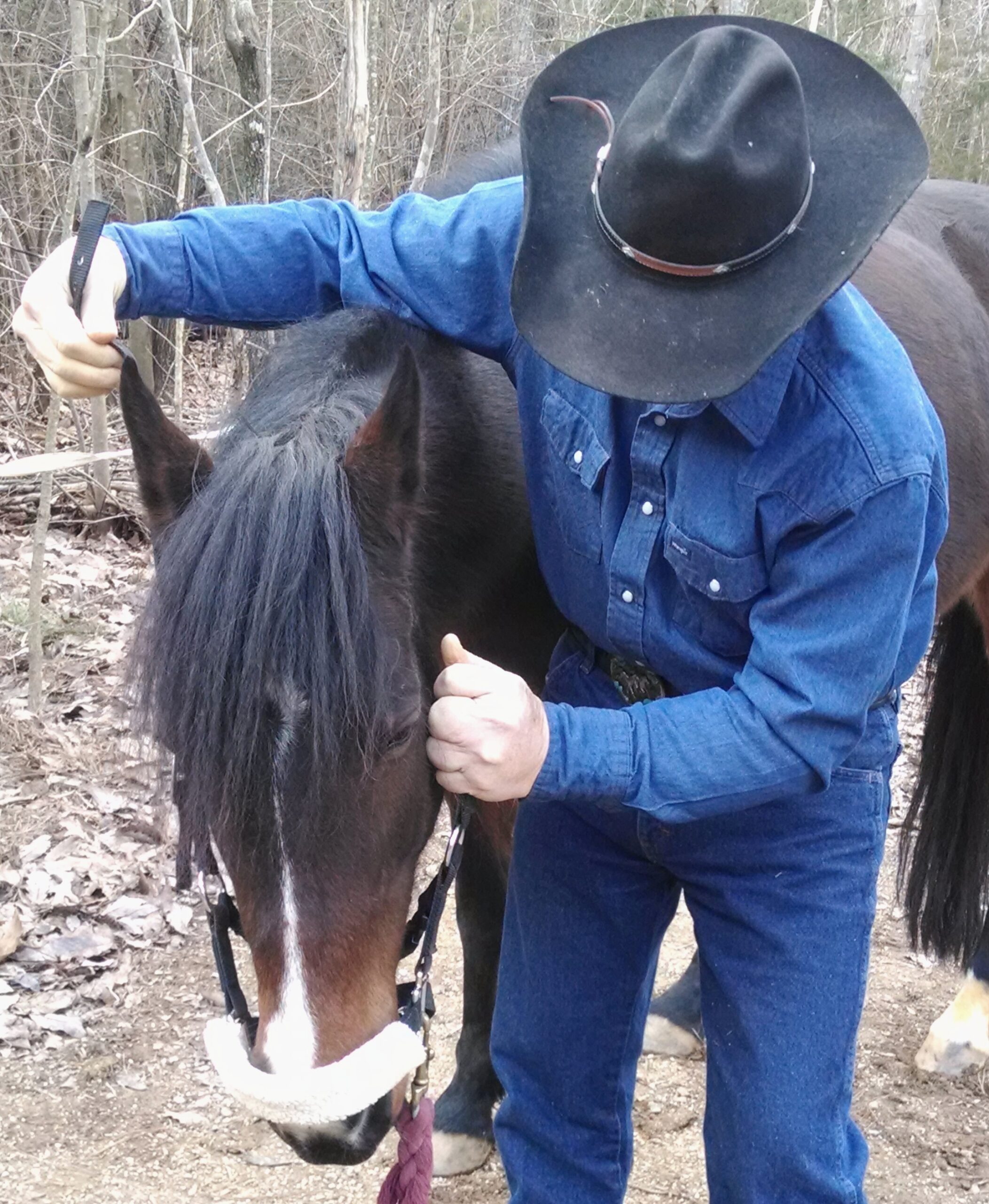 HALTERING A HORSE RIGHT WAY WRONG WAY , Dutch Henry