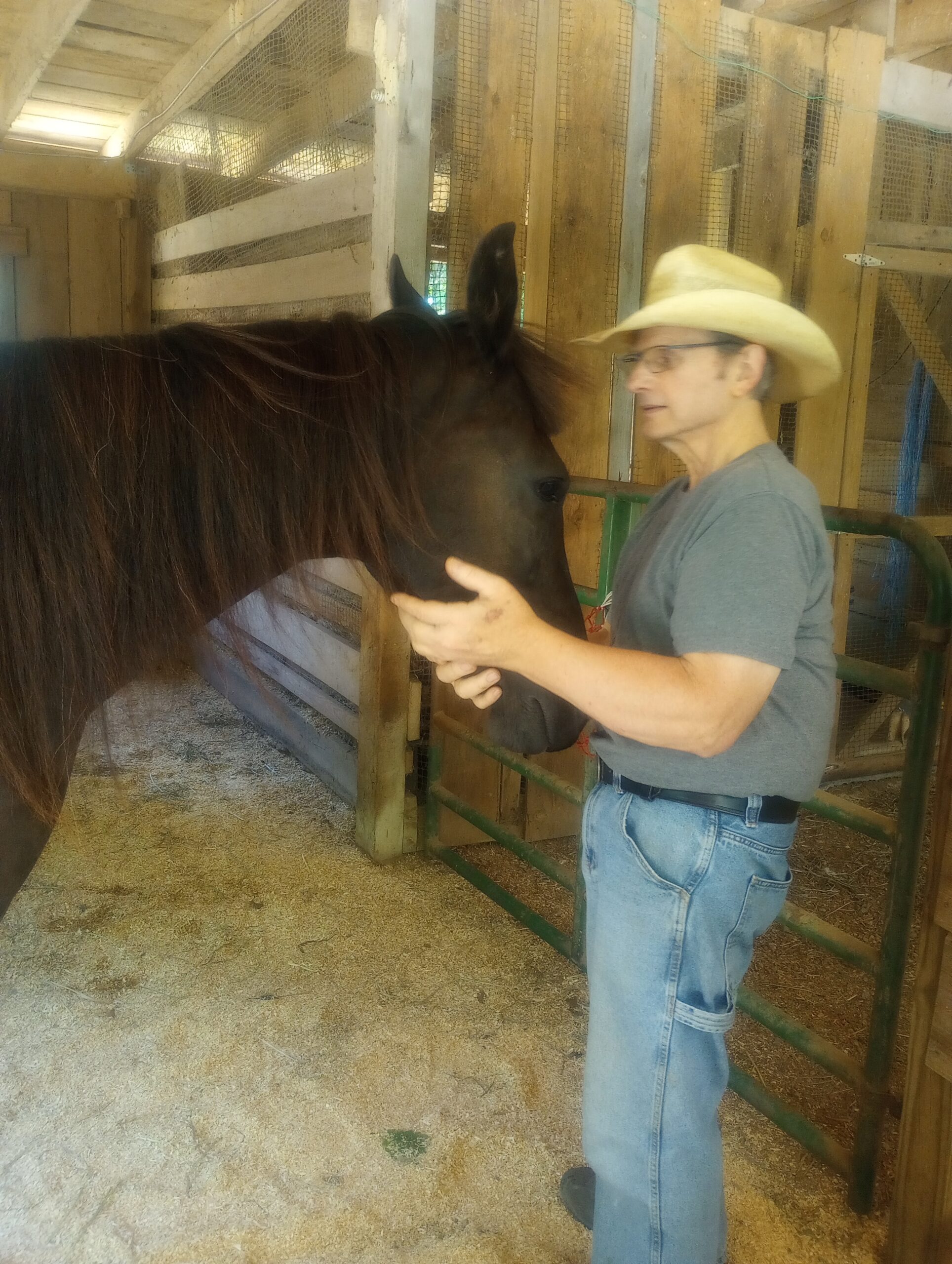 WHAT IS HORSE COMMUNICATION, Dutch Henry